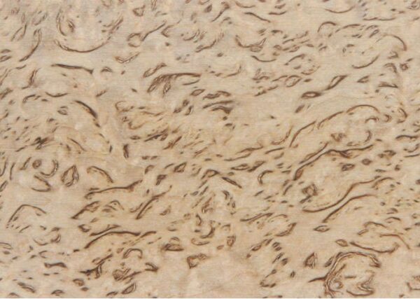 Betulla finlandese, qualità premium, 120 x 40 x 30 mm – Utensili Manzanese